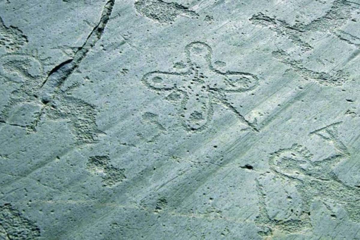 Tour guidato: le incisioni rupestri in Val Camonica